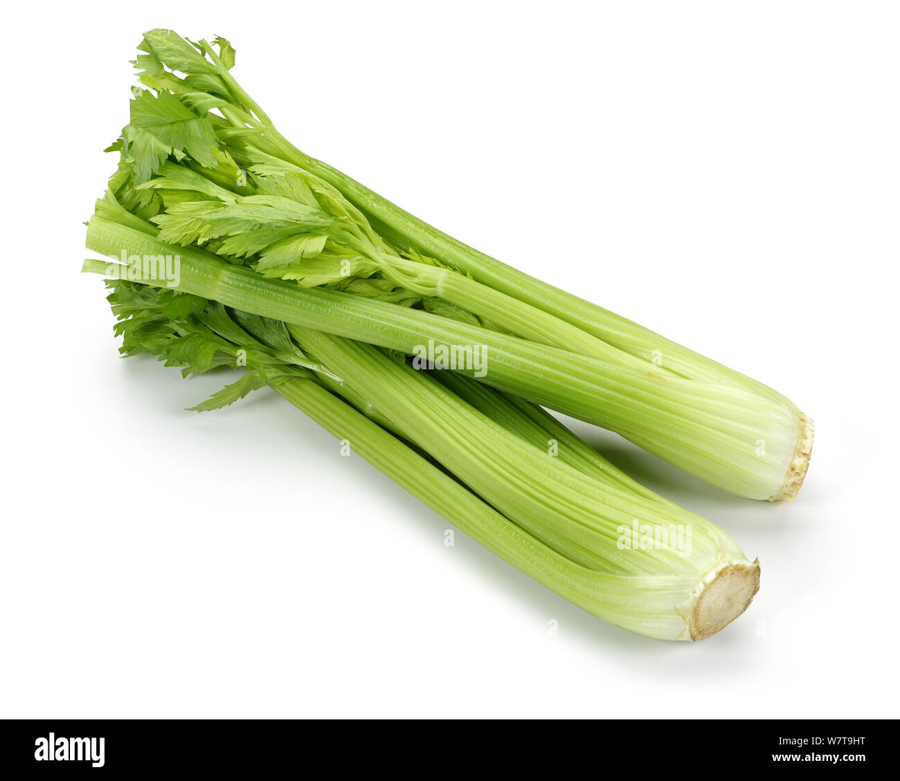Fresh celery stalks and leaves isolated on white background Stock Photo ...