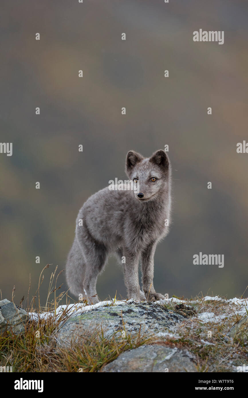 Colours in the background hi-res stock photography and images - Alamy