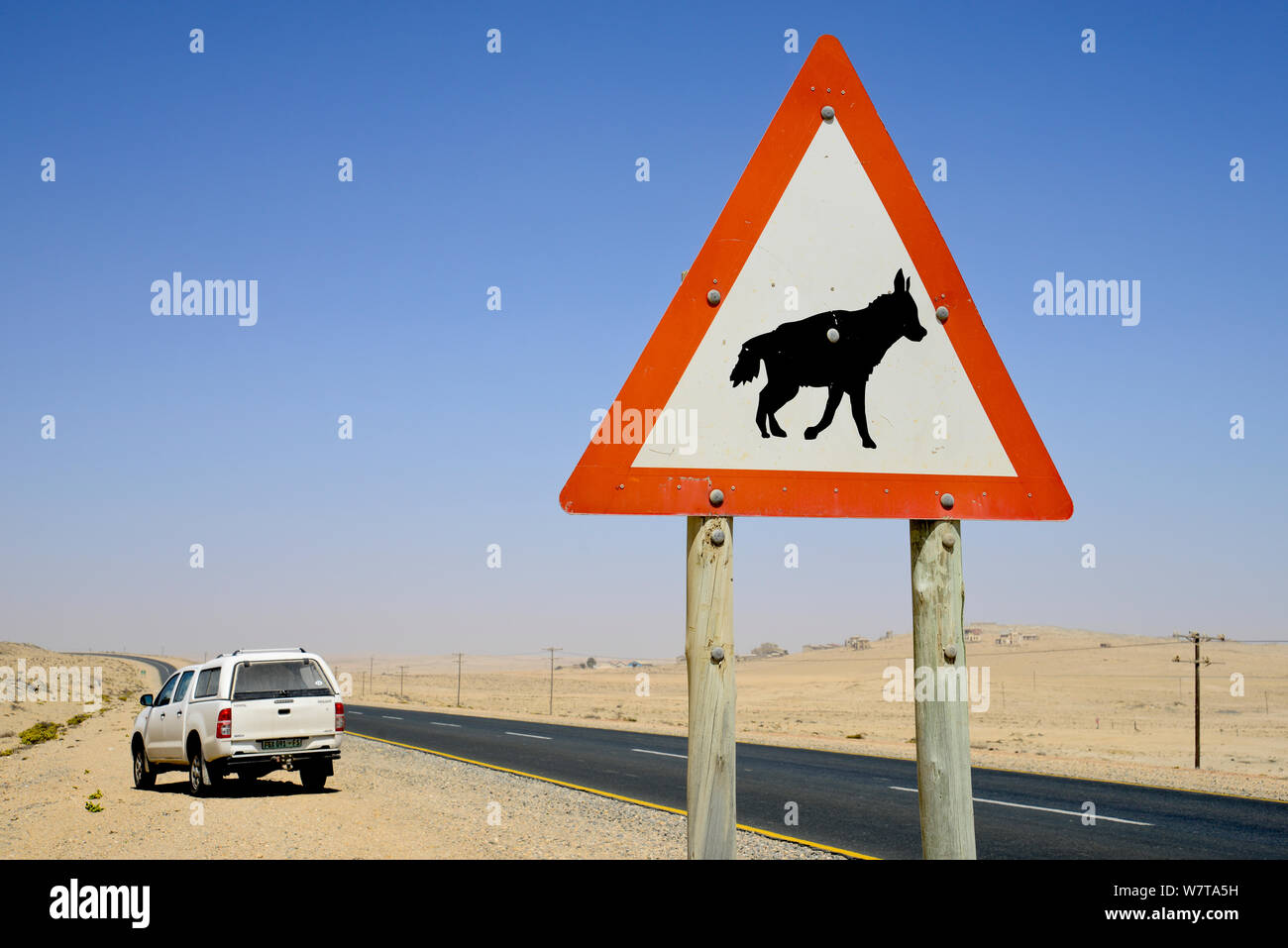 Traffic sign warning of Brown hyaenas (Hyaena brunnea) on a coastal ...