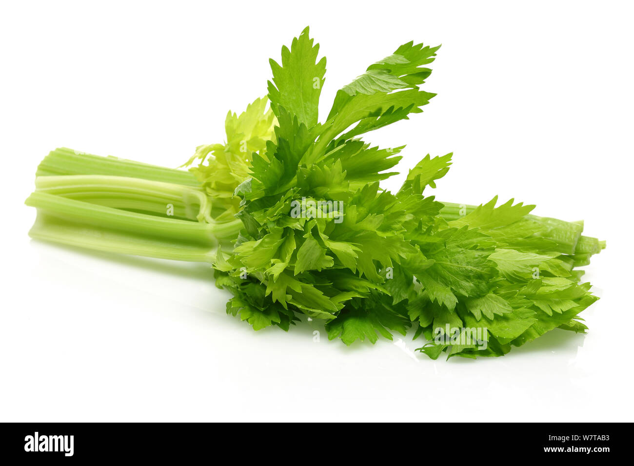 Fresh celery stalks and leaves isolated on white background Stock Photo ...