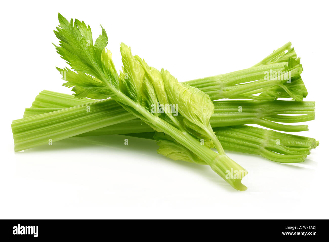 Fresh celery stalks and leaves isolated on white background Stock Photo ...
