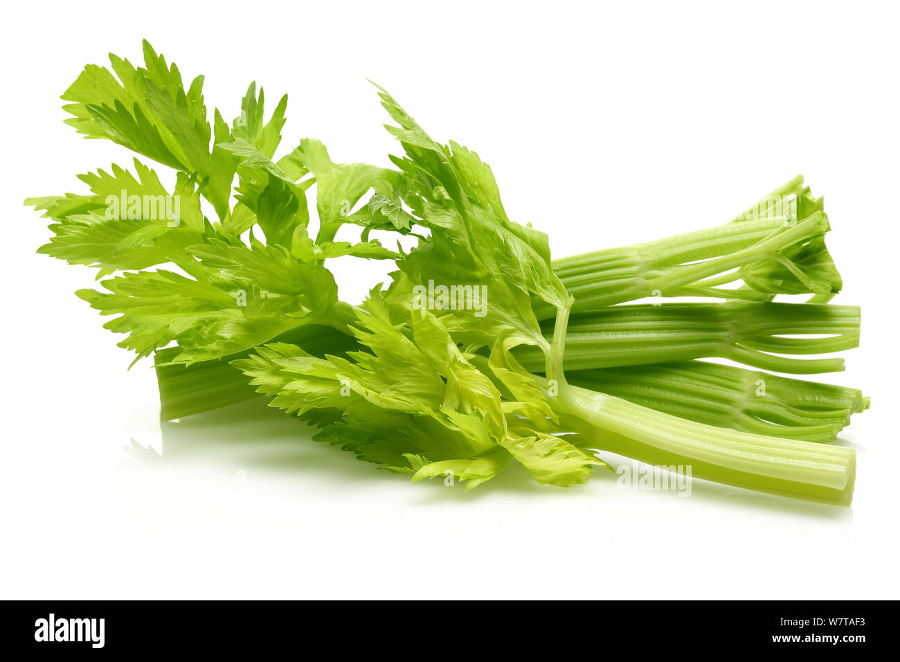 Fresh celery stalks and leaves isolated on white background Stock Photo ...