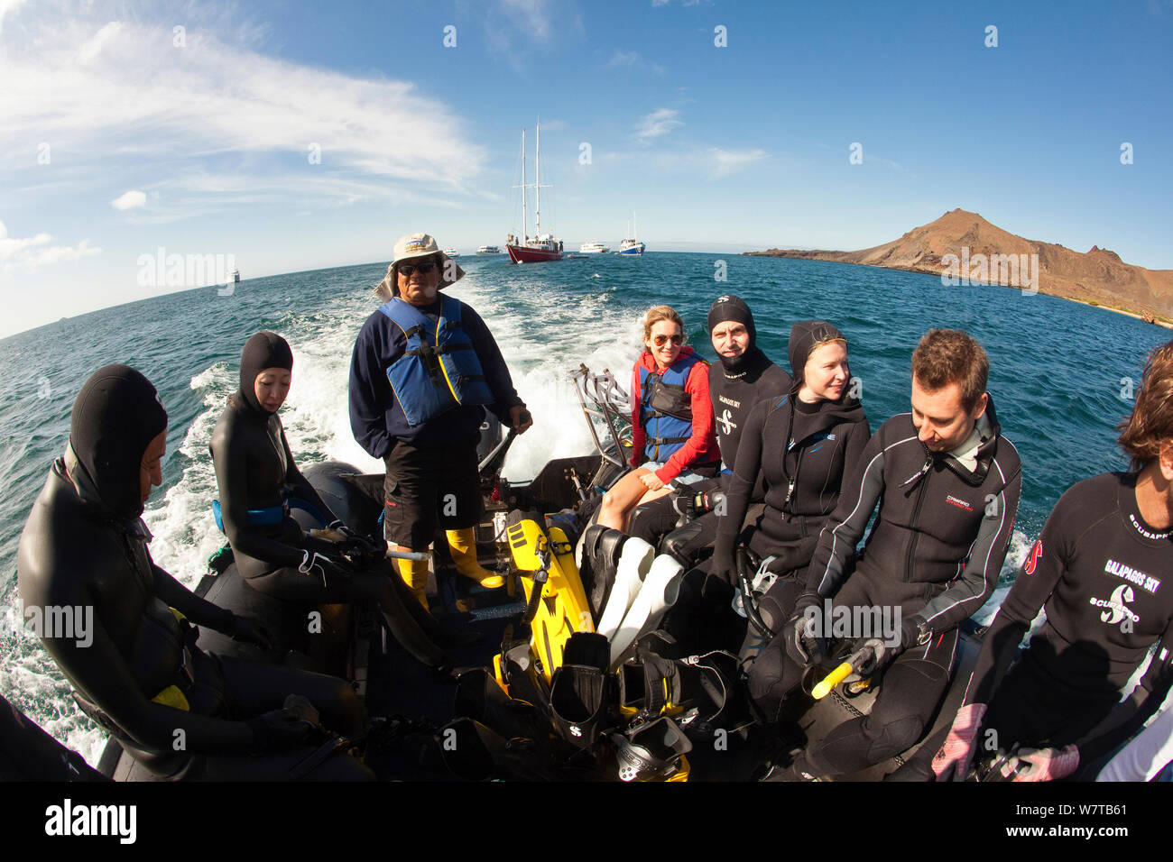 Scuba divers in inflatable going to dive site. Galapagos Islands, model ...