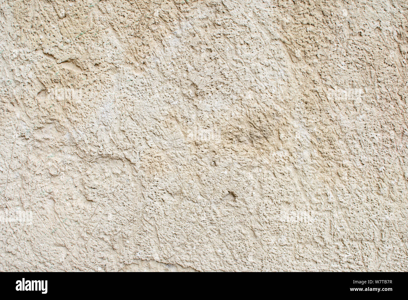 Light texture of old antique wall, layer of concrete wall plaster. Great for design and texture ...