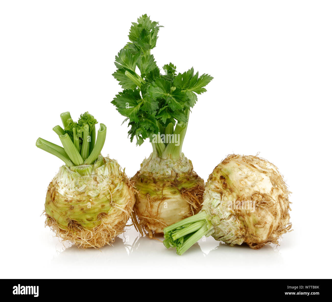 Celery stalks isolated hi-res stock photography and images - Alamy