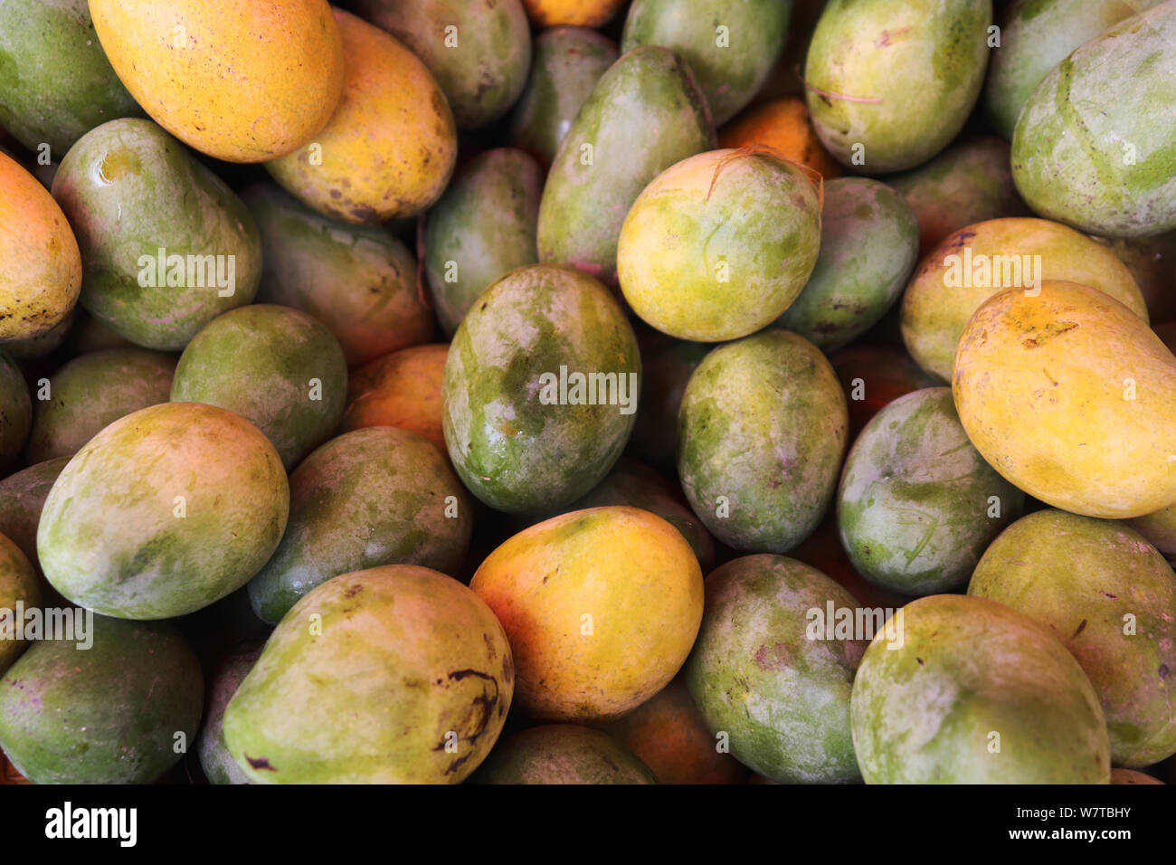 Mango Fruit, Pile of Green Yellow Mango Stock Photo - Alamy