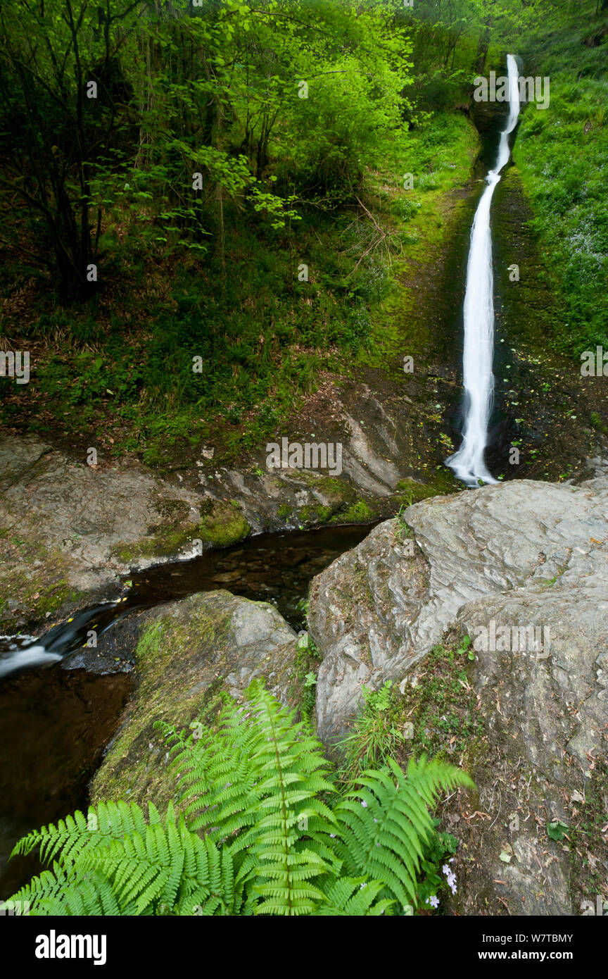 The White Lady waterfall - the tallest waterfall in Devon - Lydford ...