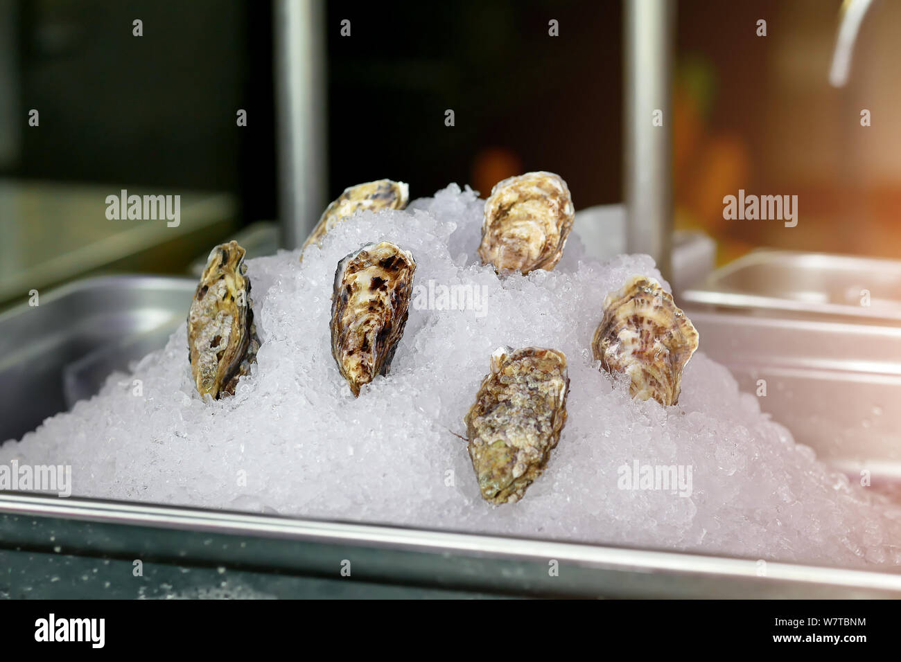 Oyster shell window hi-res stock photography and images - Alamy