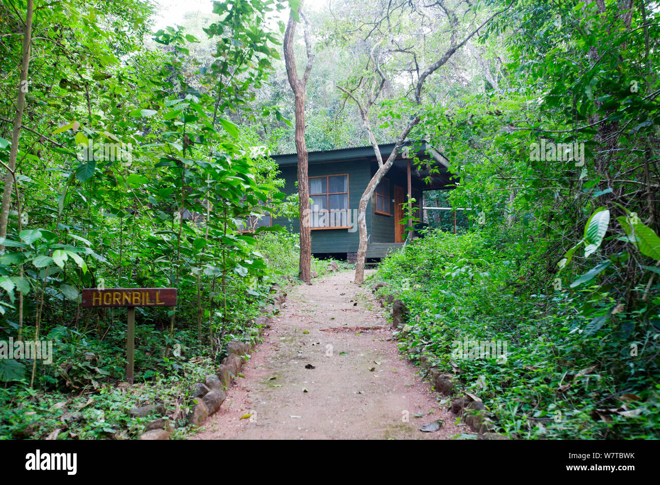 Uganda, budongo forest reserve hi-res stock photography and images - Alamy