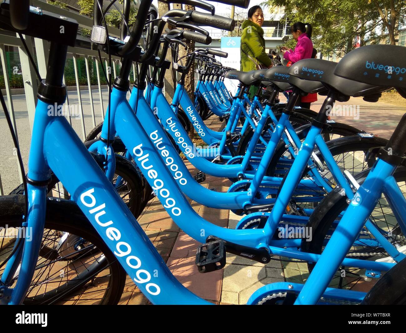 --FILE--Bicycles of Chinese bike-sharing services Bluegogo are lined up on a street in Shenzhen ...