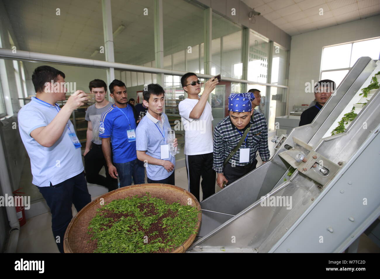China traditional tea process hi-res stock photography and images - Alamy