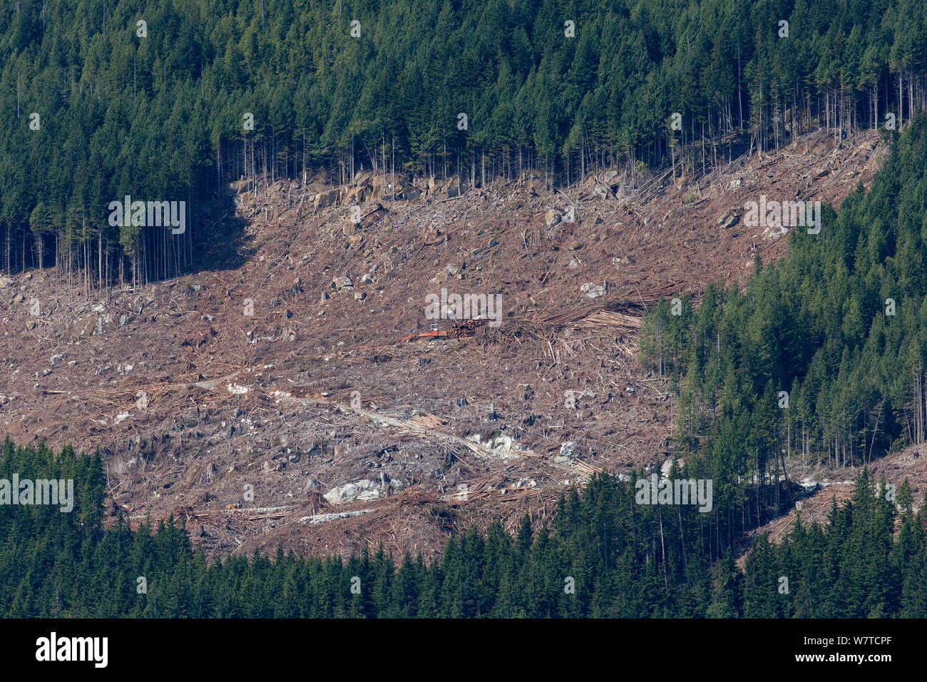 Aerial forest british columbia hi-res stock photography and images - Alamy