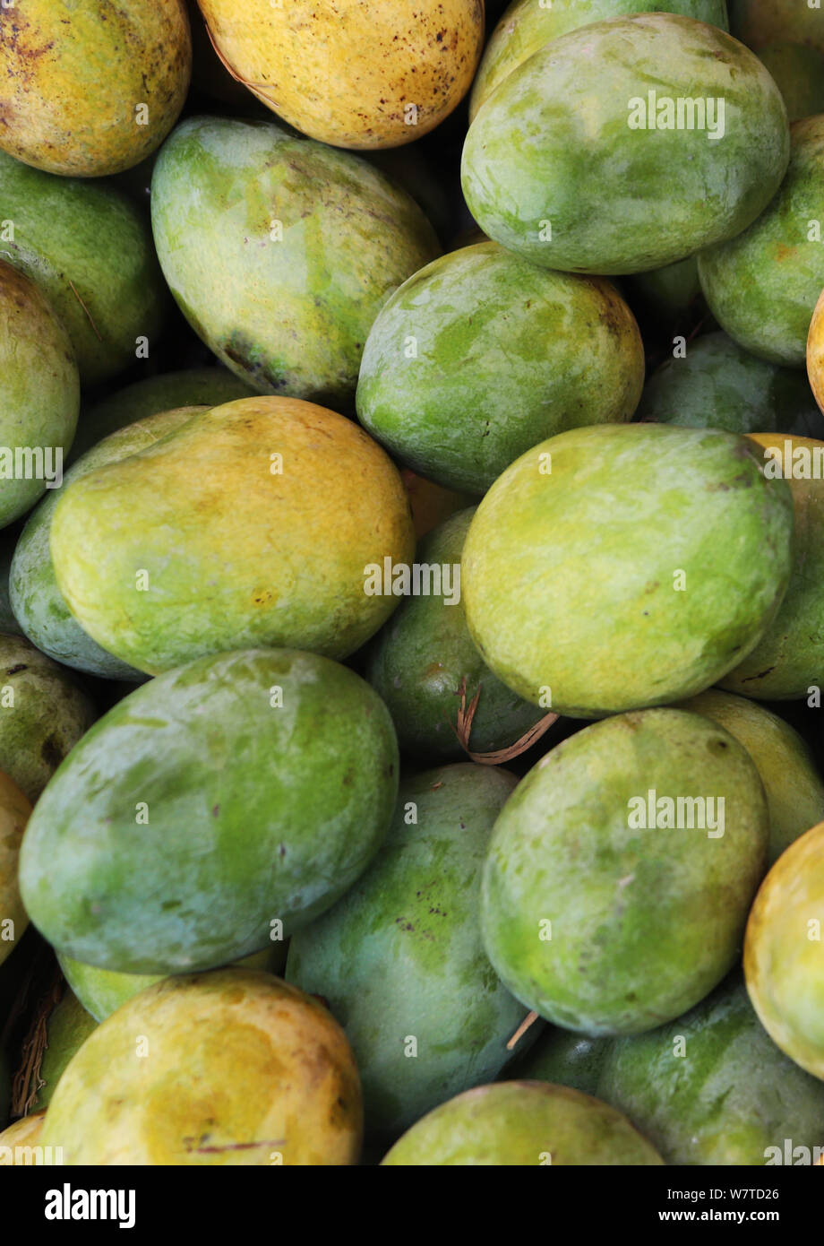 Mango Fruit, Pile of Beautiful Green Mango Stock Photo - Alamy