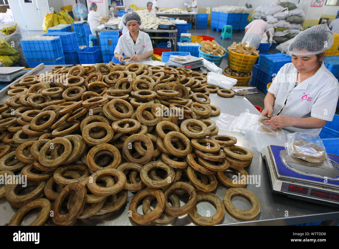 Pet food factory hi-res stock photography and images - Alamy