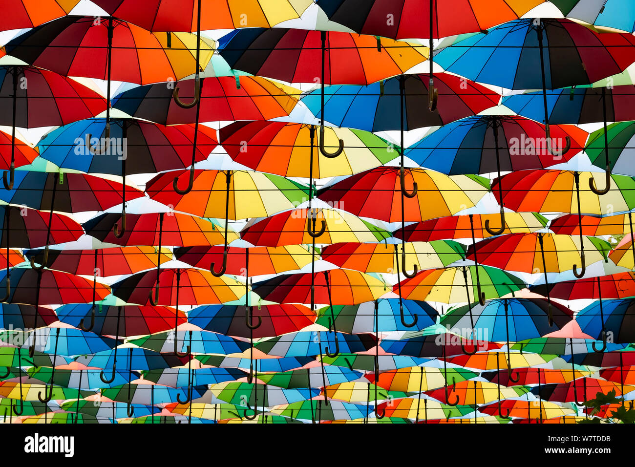 Outdoor hanging umbrellas installation hi-res stock photography and ...