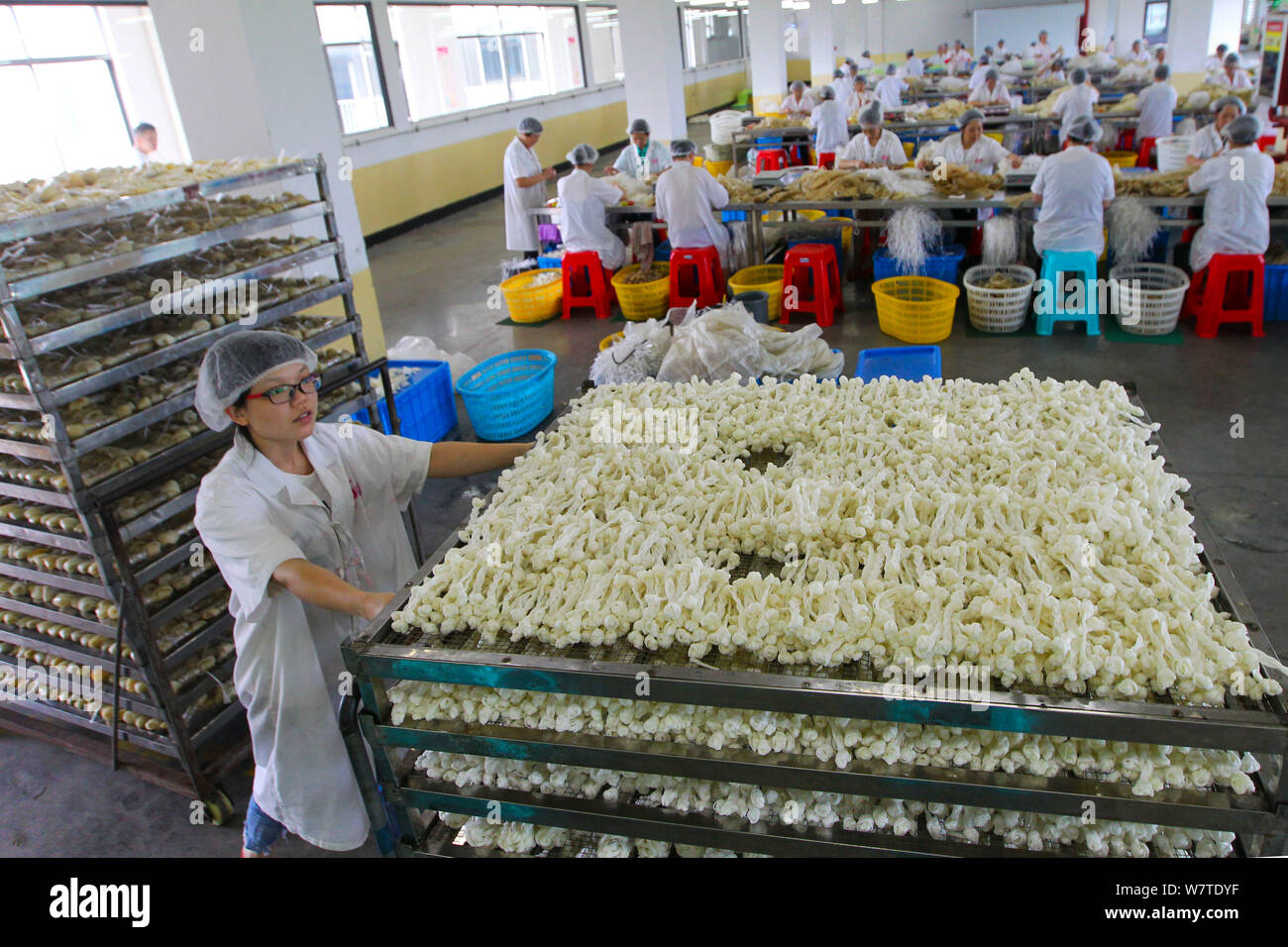 Pet food factory hi-res stock photography and images - Alamy