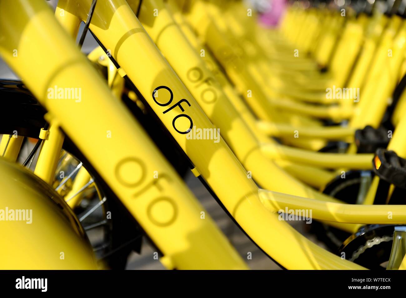 --FILE--Bicycles of Chinese bike-sharing service ofo are lined up on a ...