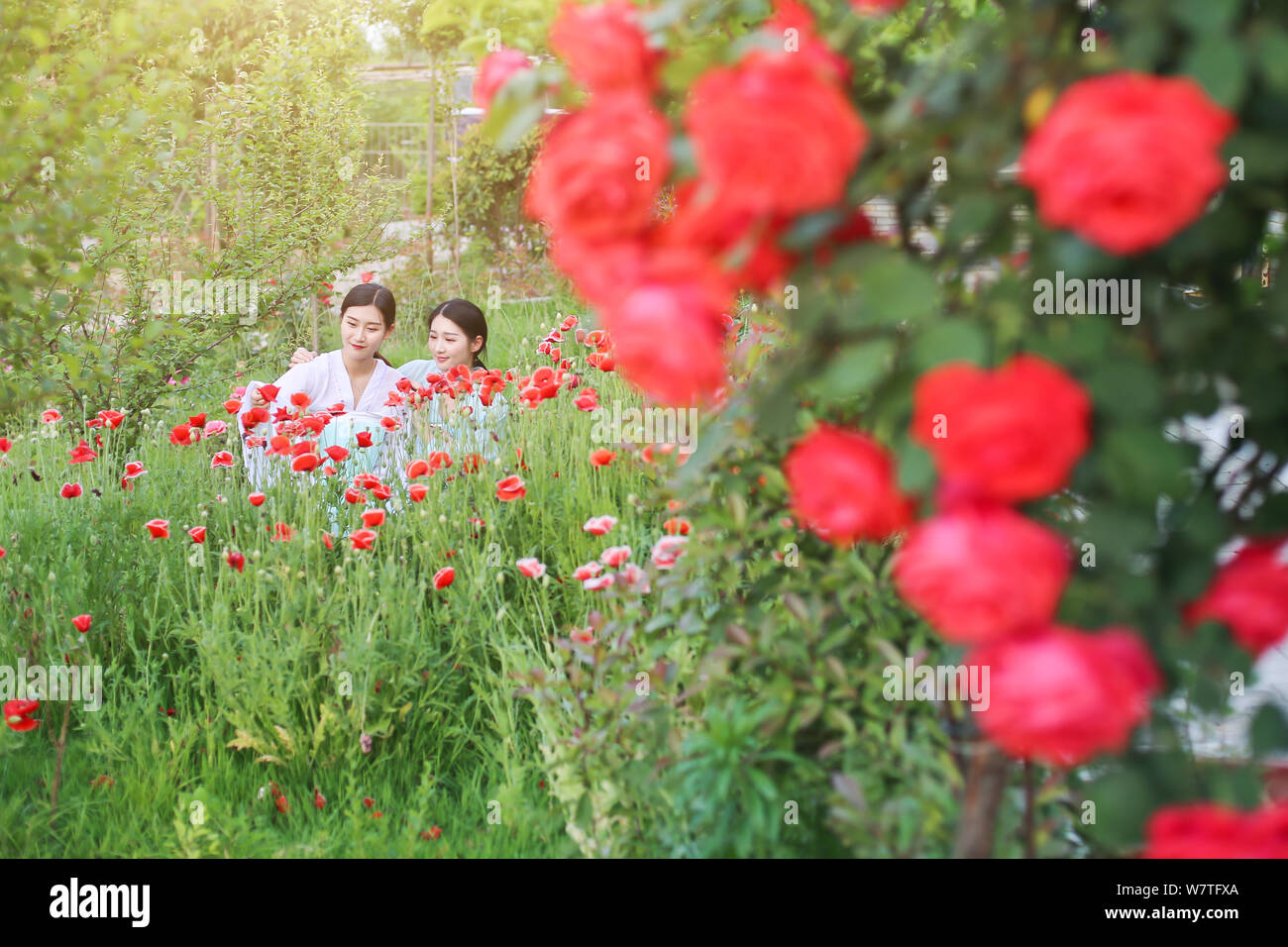 Female graduates dressed in traditional Chinese costumes pose for ...