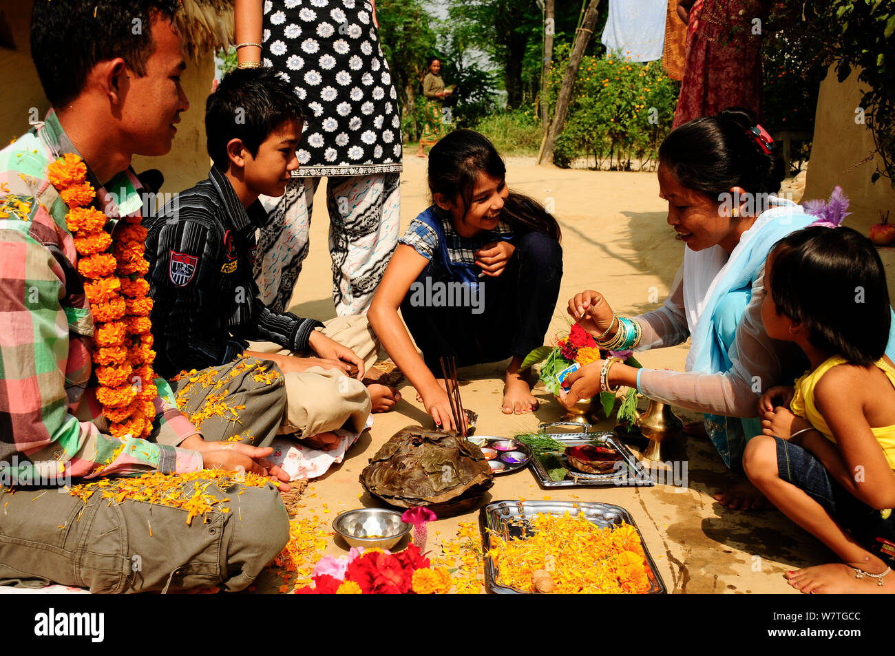 Tihar hi-res stock photography and images - Alamy