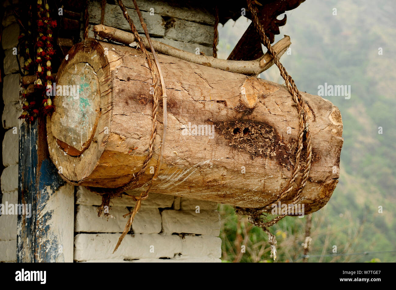 Log beehive hi-res stock photography and images - Alamy