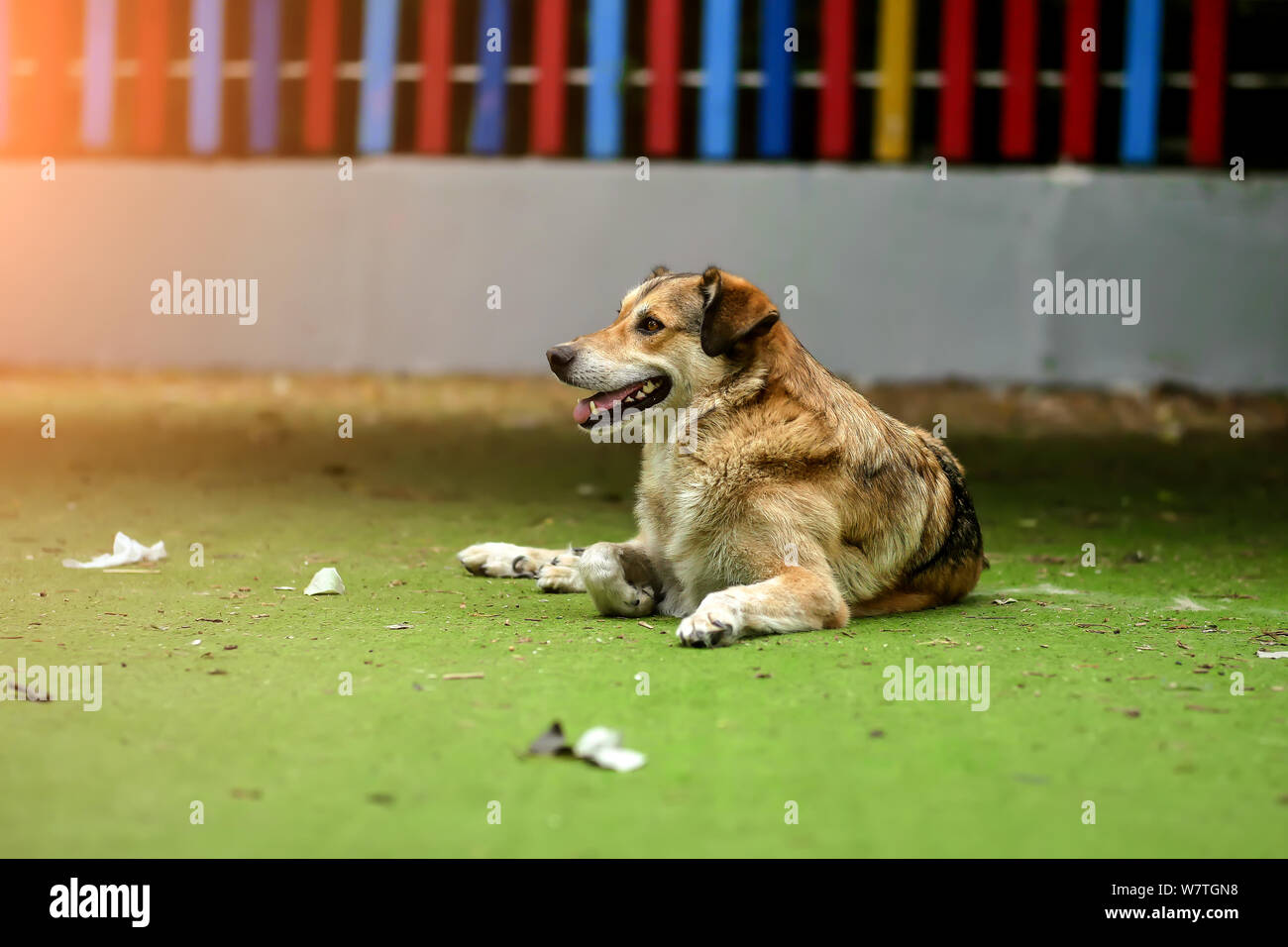 Serious playground hi-res stock photography and images - Alamy