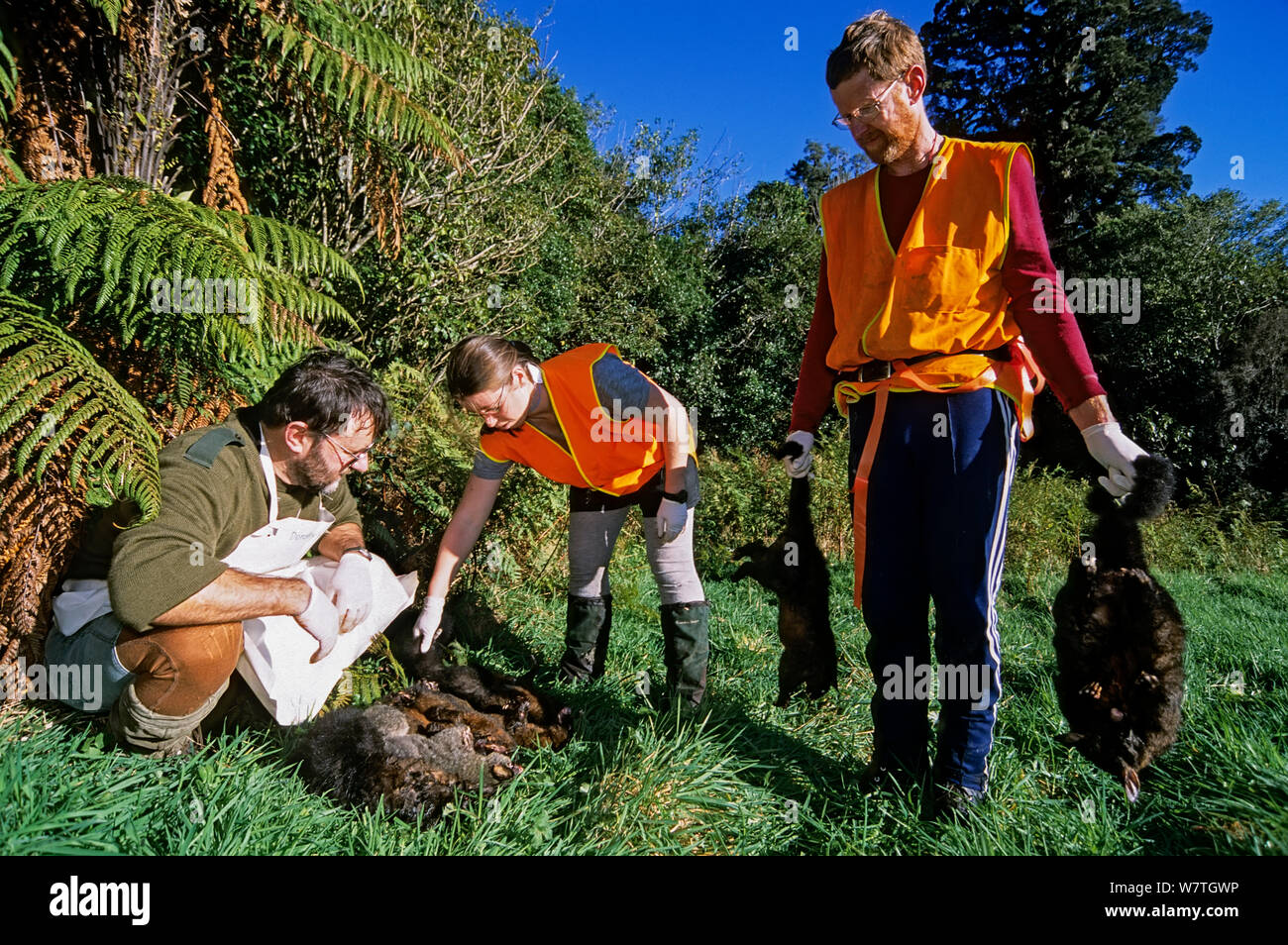 Jim Coleman and the Possum Research team from Landcare Research ...