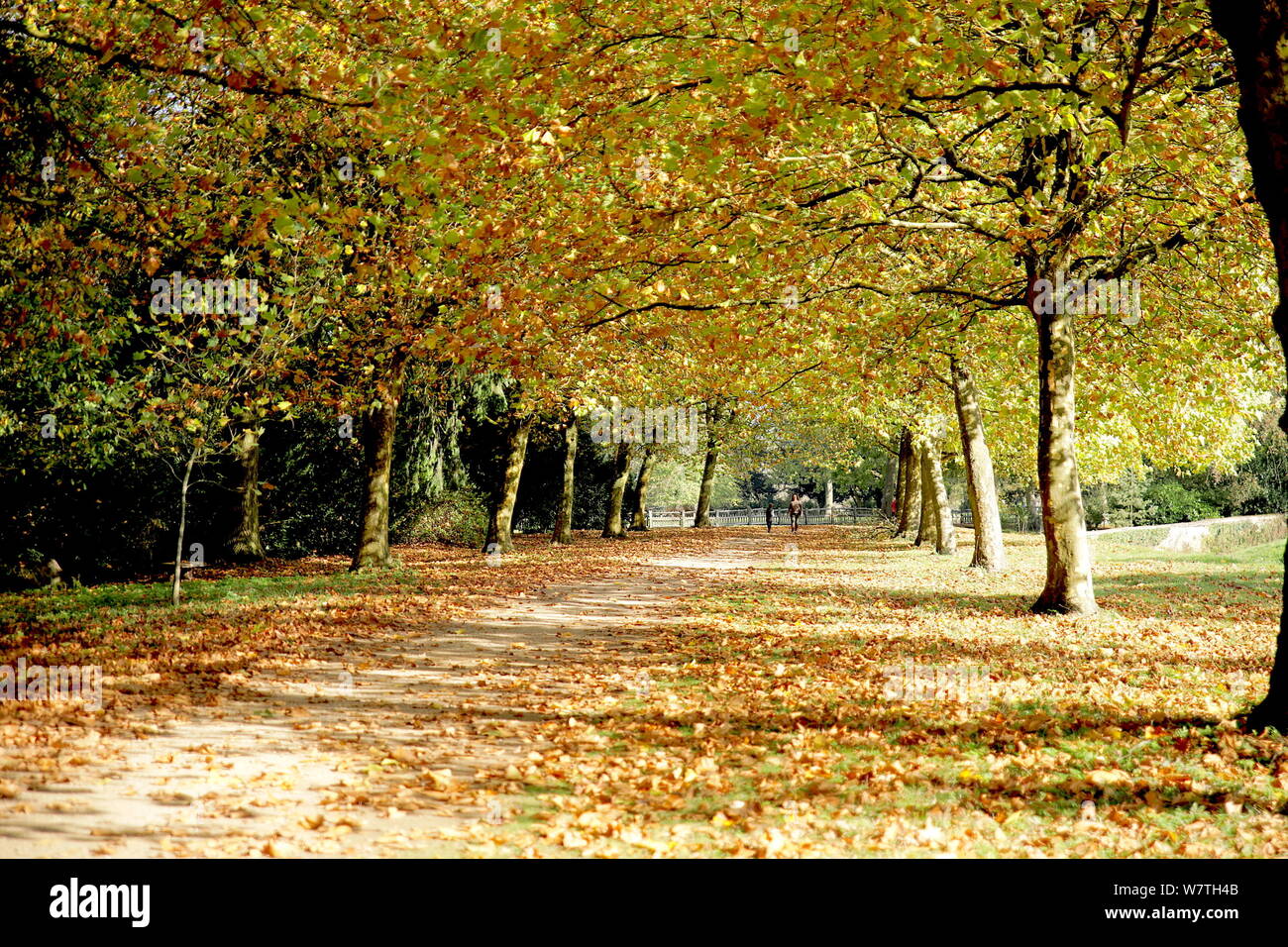 Quiet peaceful location hi-res stock photography and images - Alamy