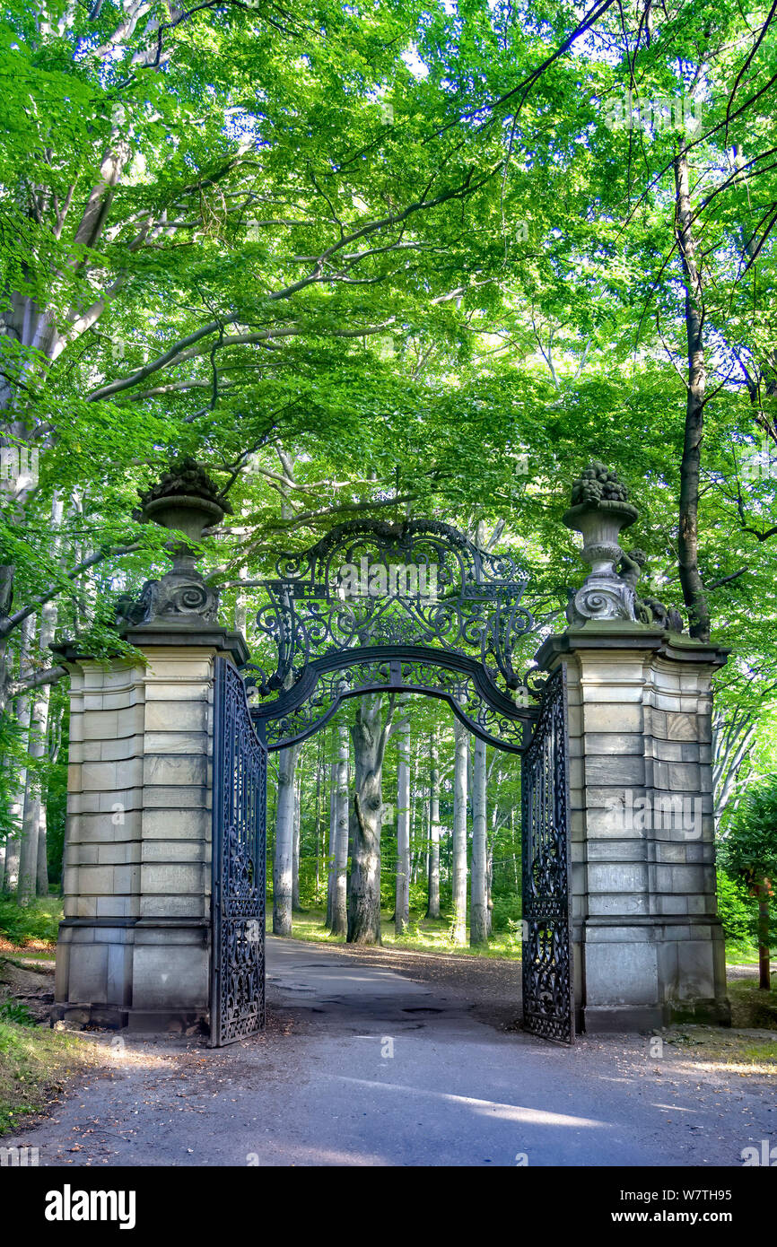 Gateway leading to tree hi-res stock photography and images - Alamy