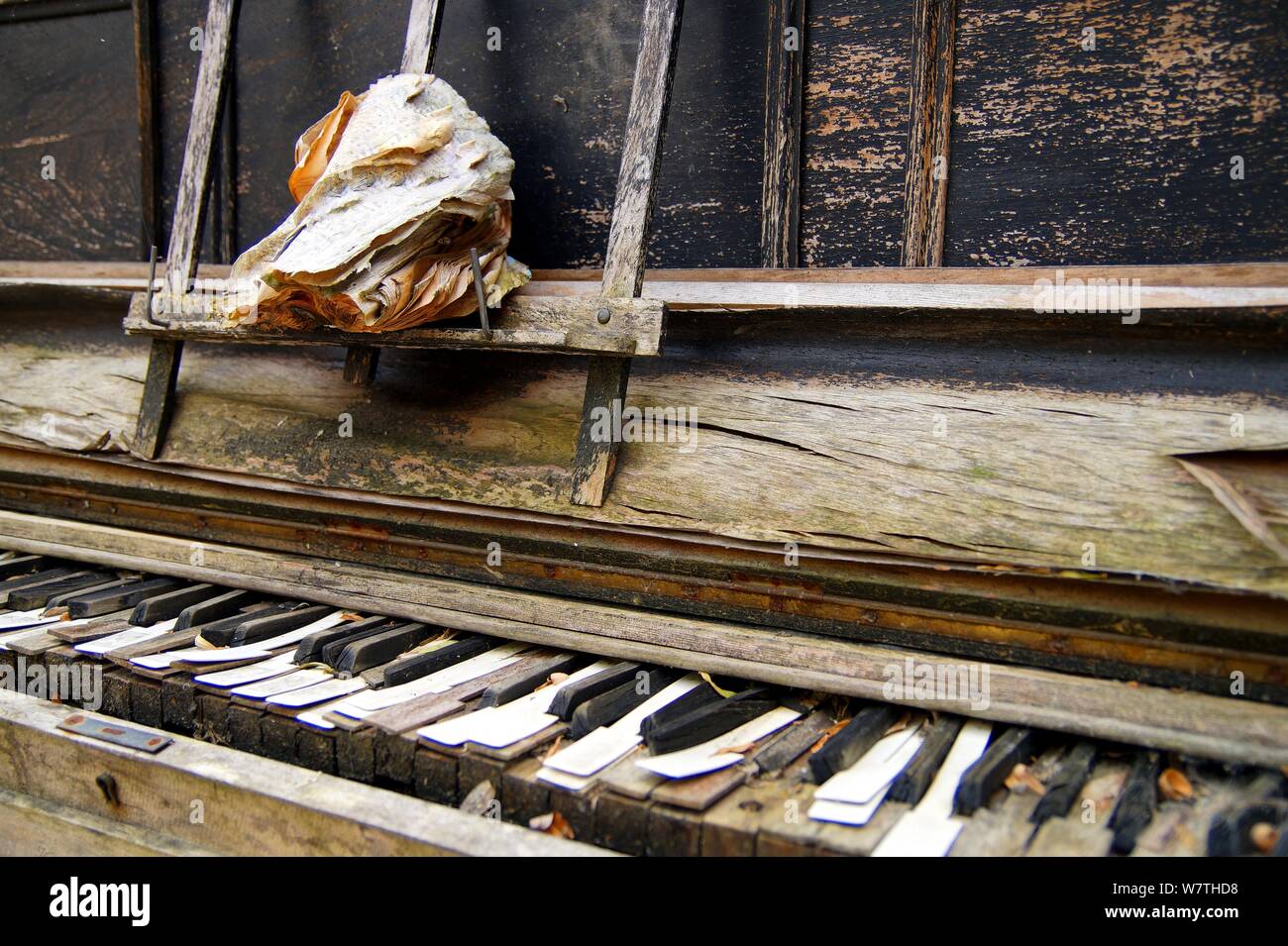 Worn piano hi-res stock photography and images - Alamy