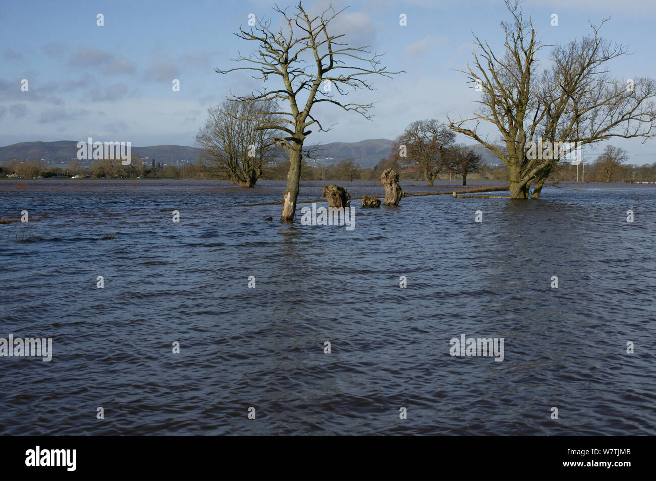 Water flooding fields hi-res stock photography and images - Alamy
