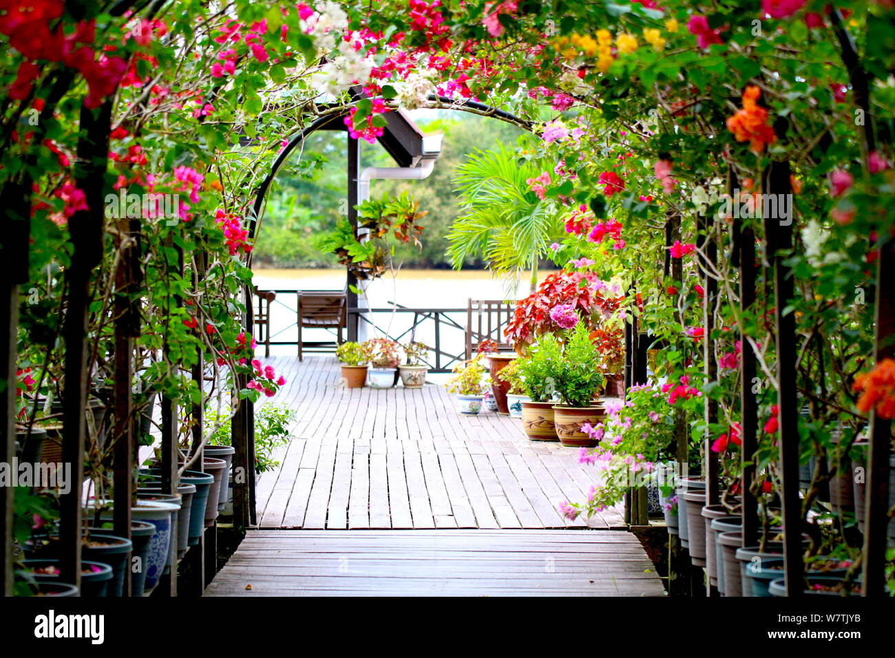 Summer Flower Arch Stock Photo - Alamy