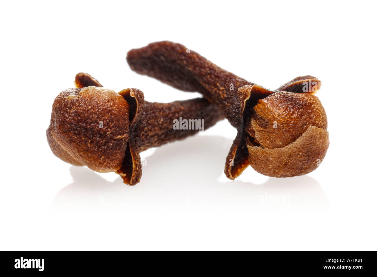 Dry clove buds isolated on white background Stock Photo - Alamy