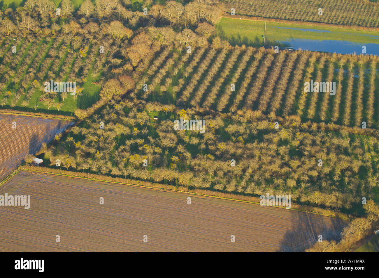 Somerset england aerial hi-res stock photography and images - Alamy