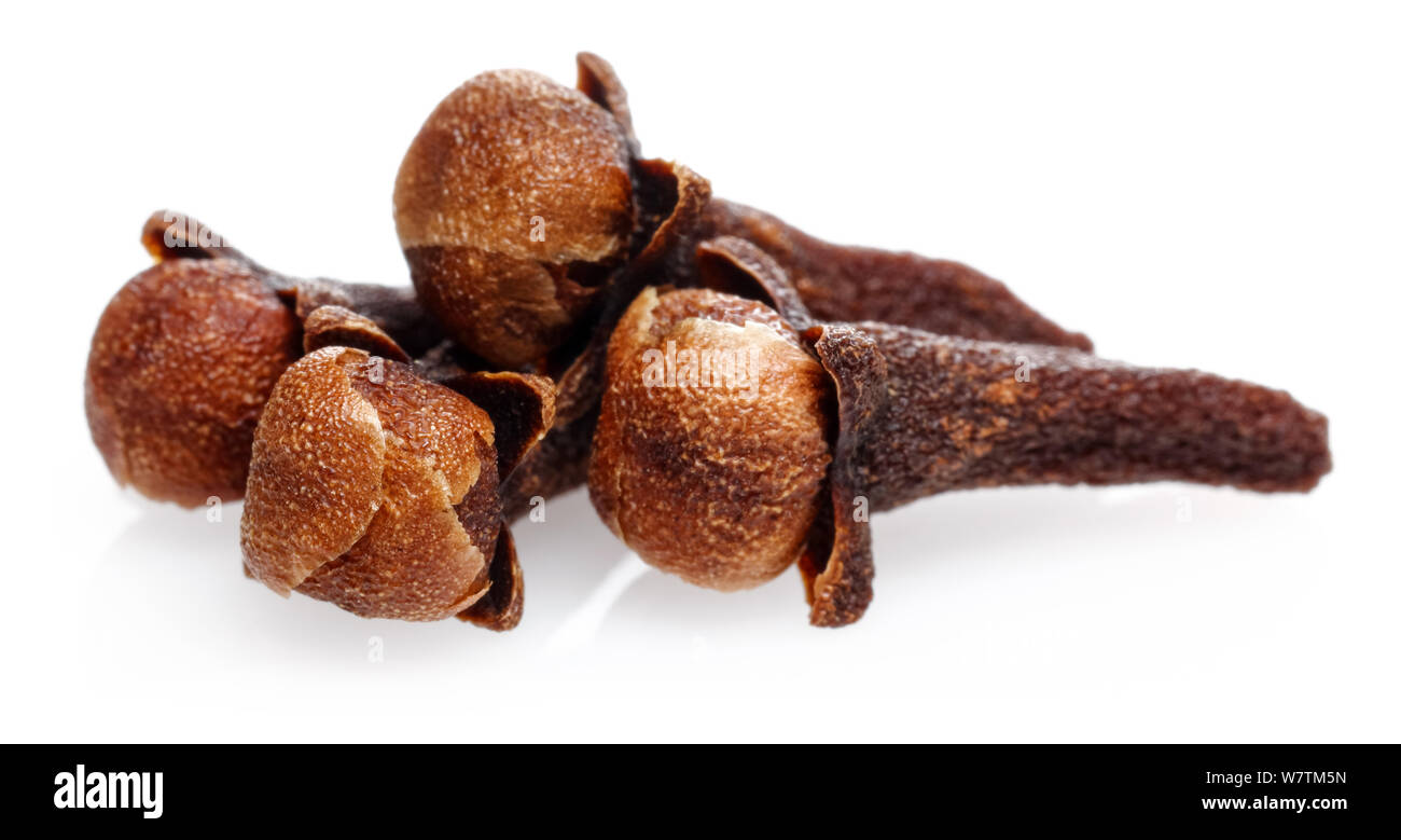 Dry clove buds isolated on white background Stock Photo - Alamy