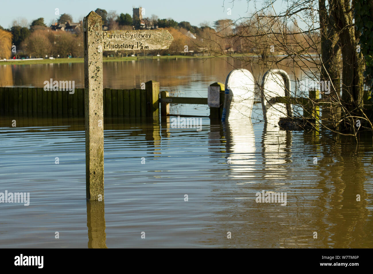 Langport somerset hi-res stock photography and images - Alamy
