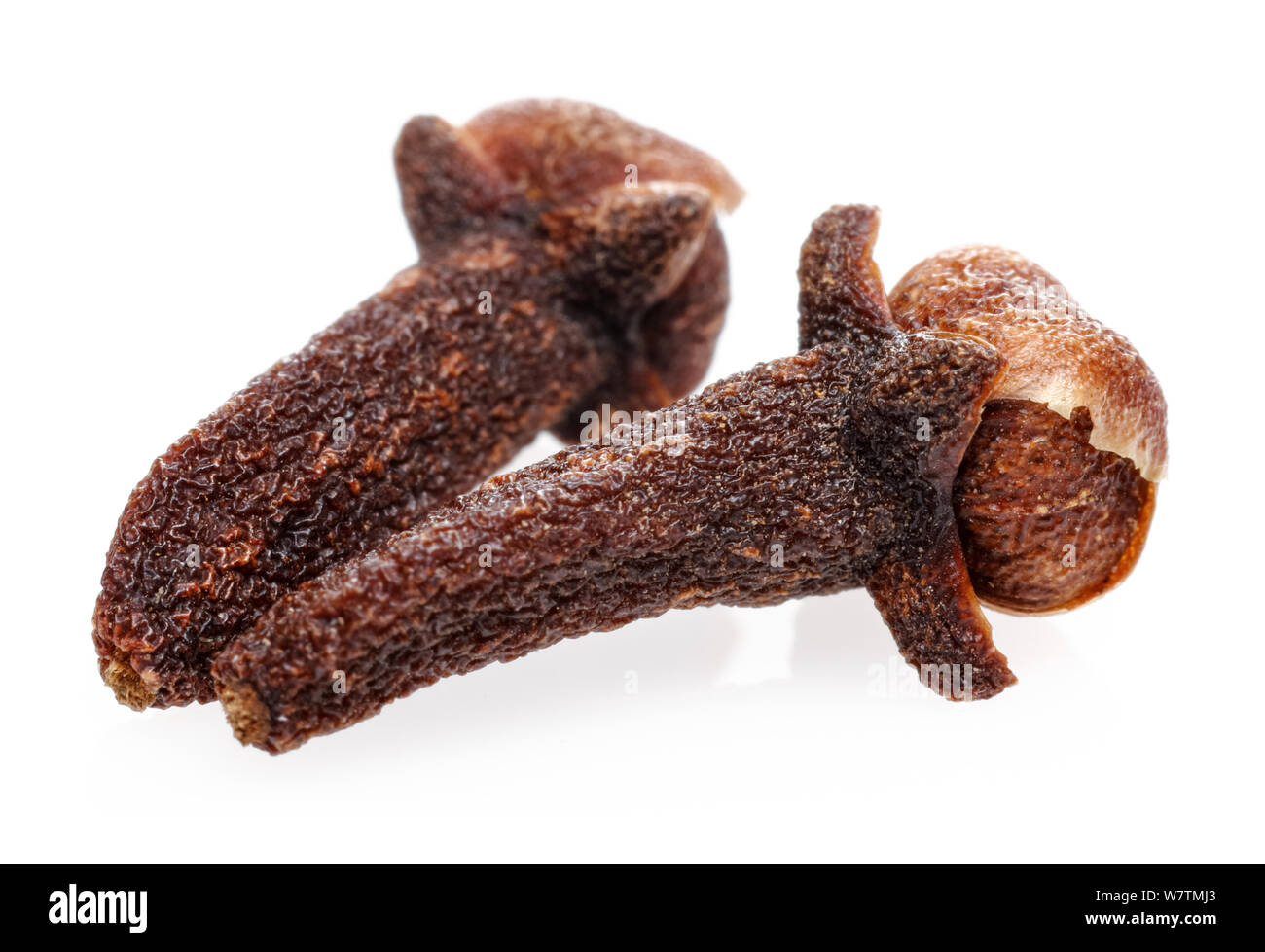 Dry clove buds isolated on white background Stock Photo - Alamy