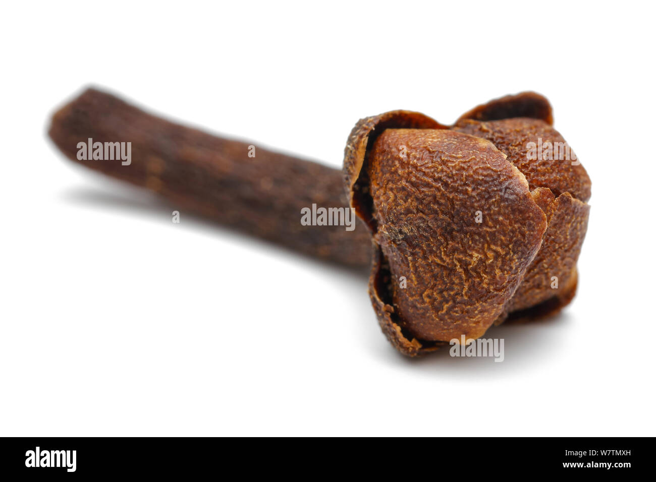 Dry clove bud isolated on white background Stock Photo - Alamy