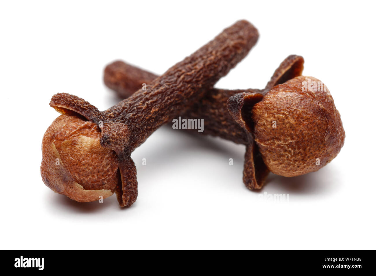 Dry clove buds isolated on white background Stock Photo - Alamy