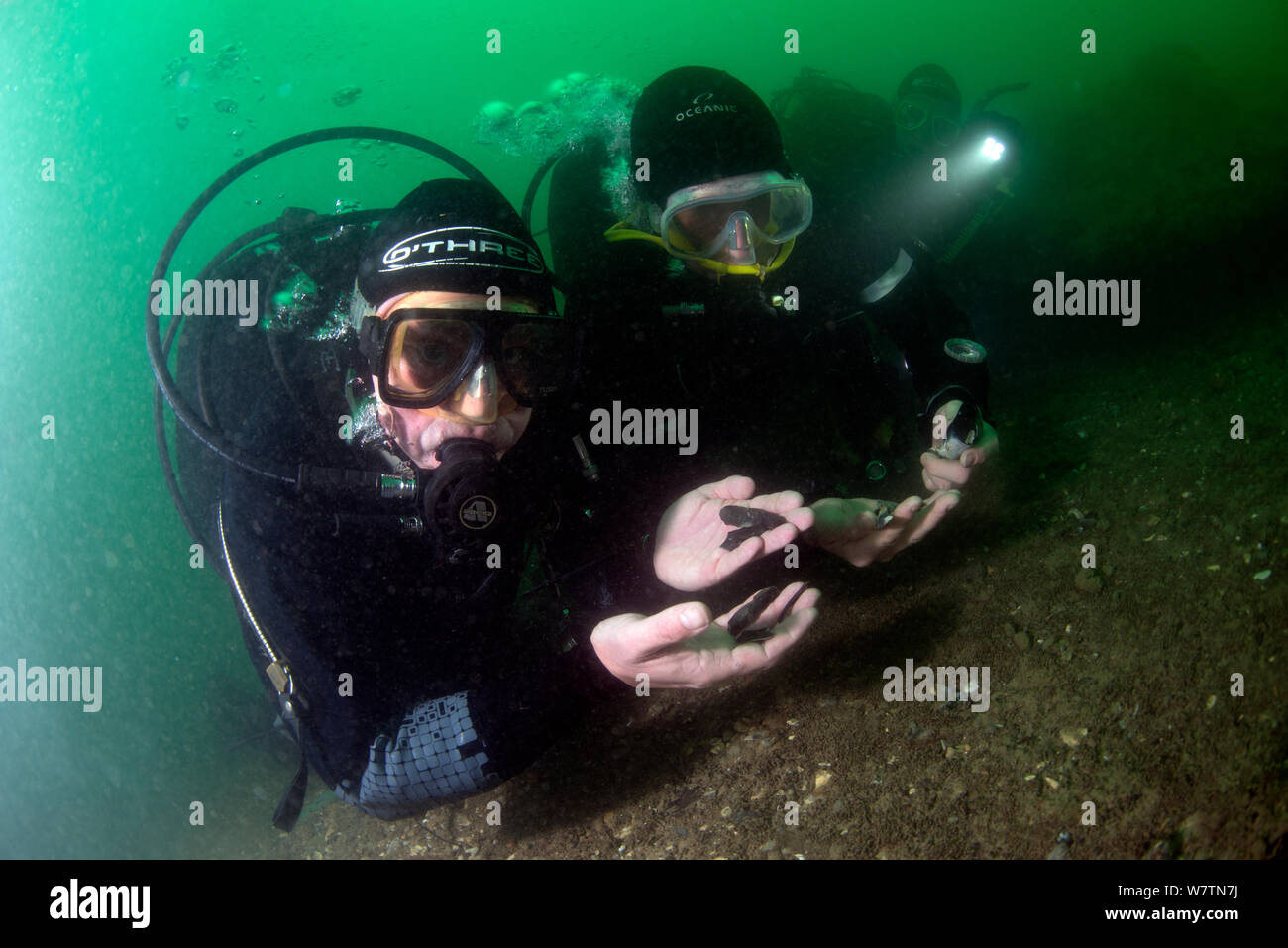 Presenter Mary-Anne Ochota, examining copper keel pins on the wreck of ...