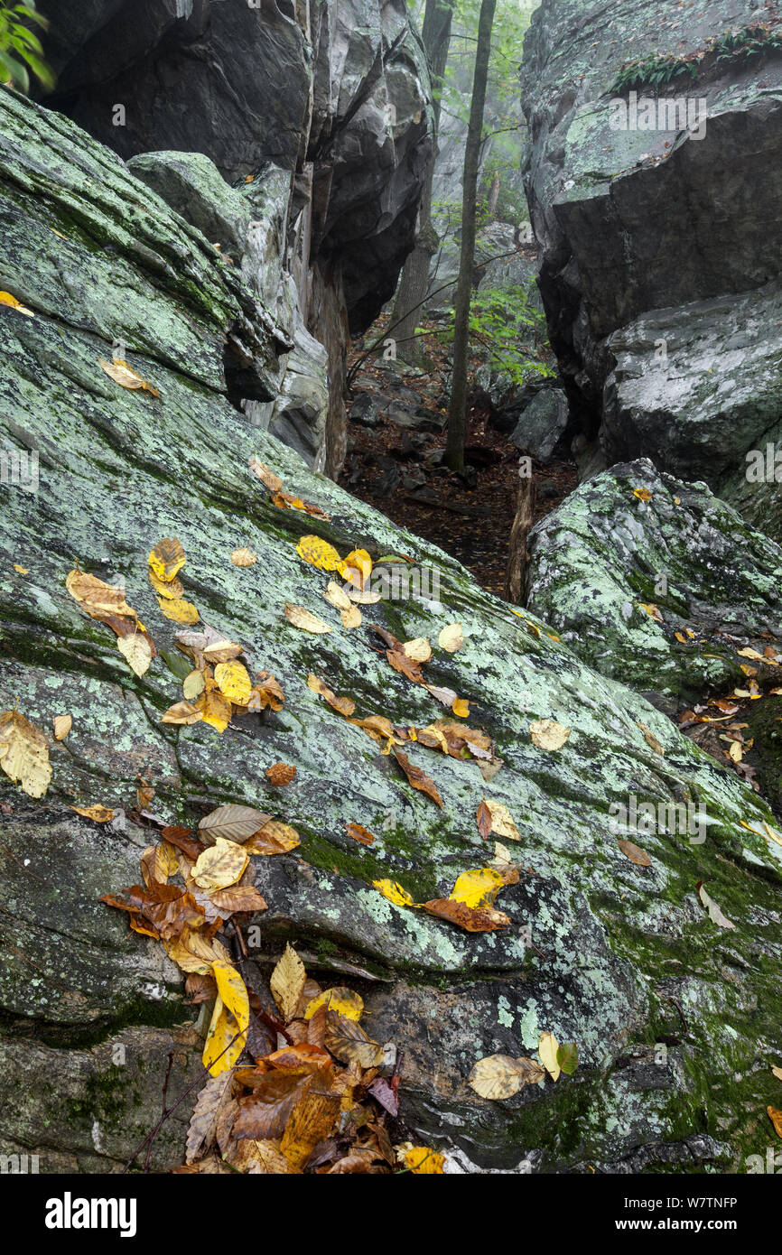 Quartzite rock formation hi-res stock photography and images - Alamy