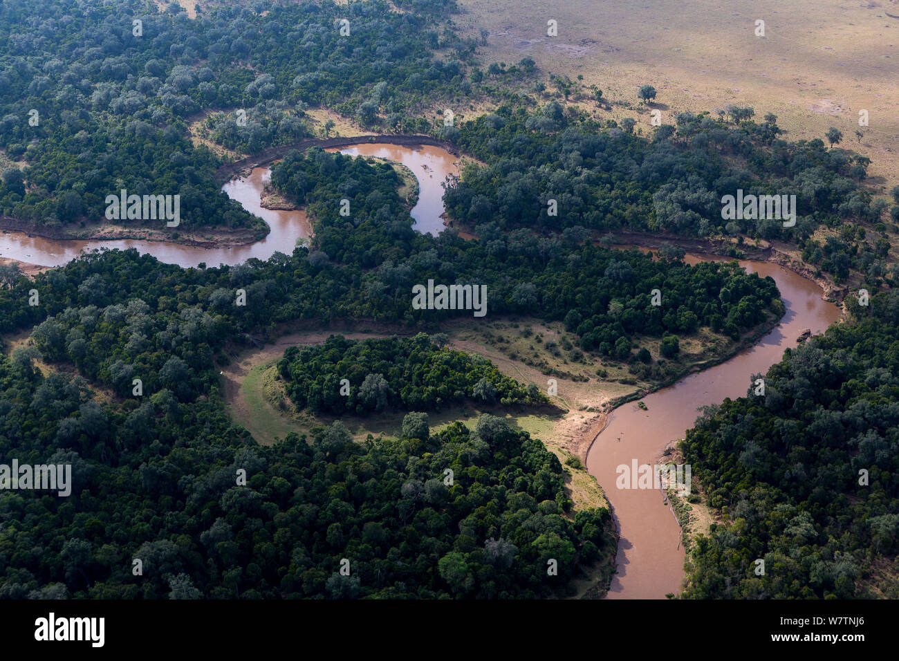 Aerial view mara river hi-res stock photography and images - Alamy