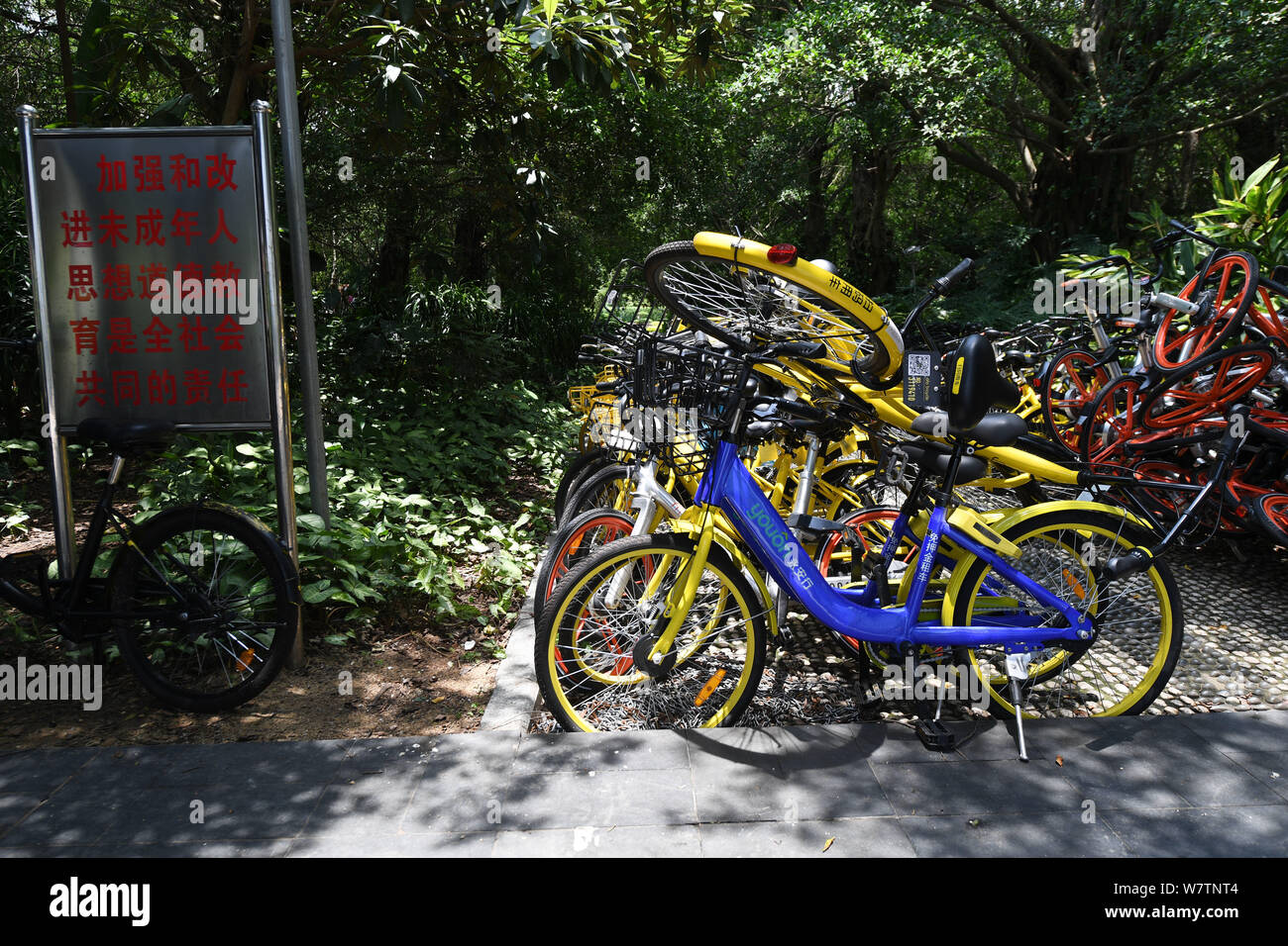 Bicycles of Chinese bike-sharing services Mobike (orange), Youan (blue ...