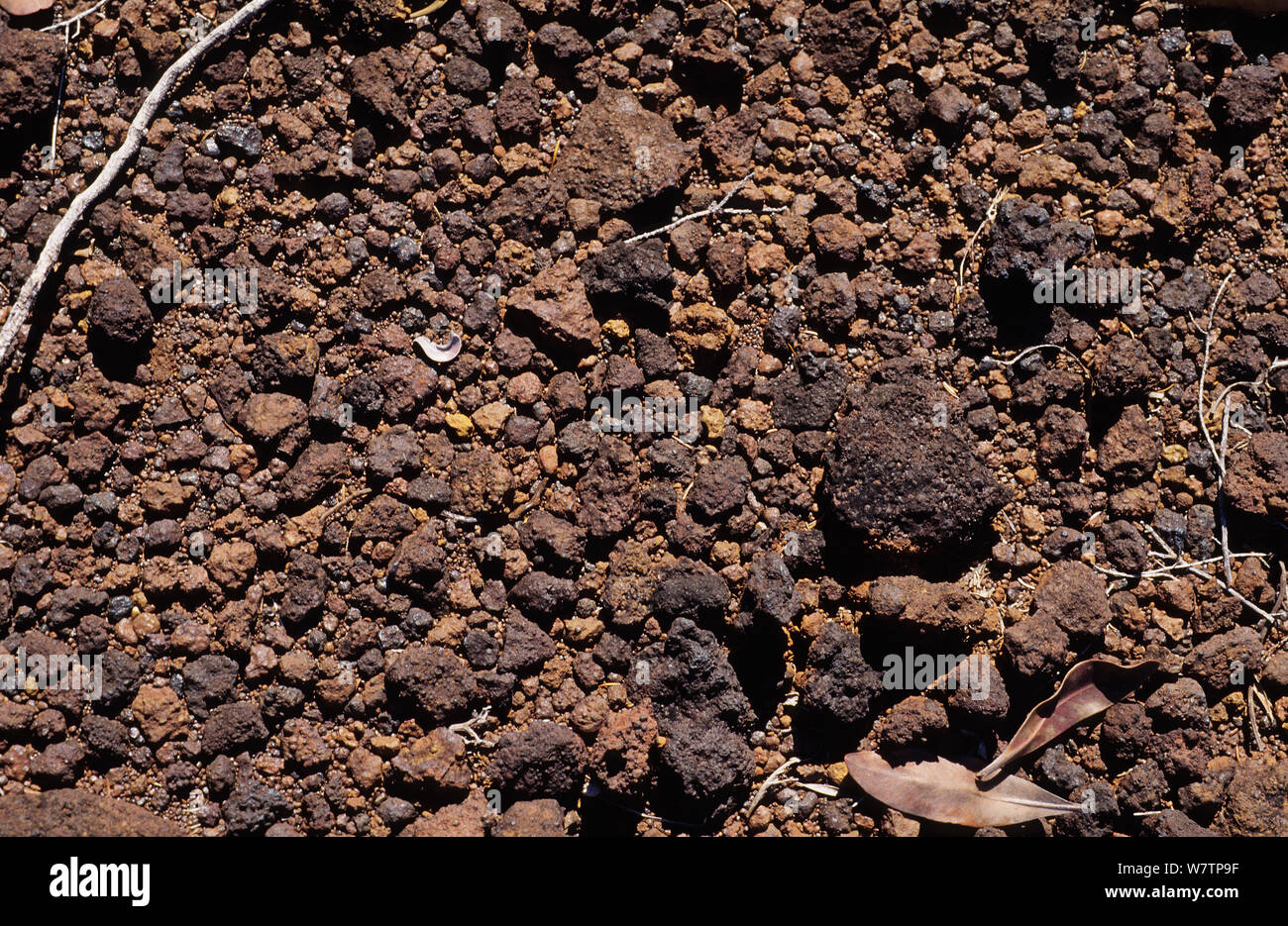 Ultramafic High Resolution Stock Photography and Images - Alamy