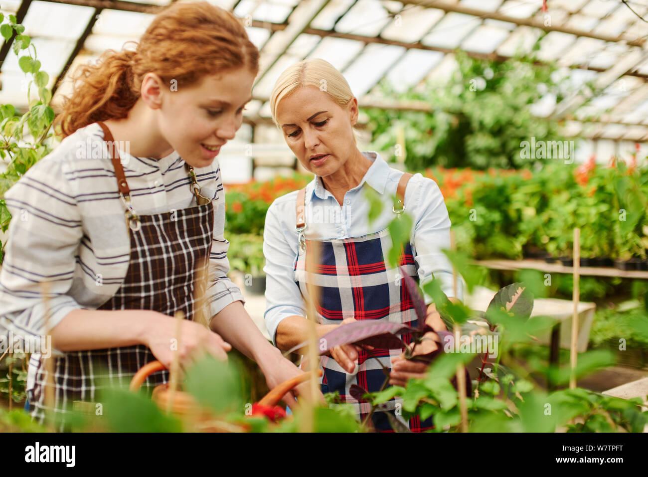 Growing properly hi-res stock photography and images - Alamy