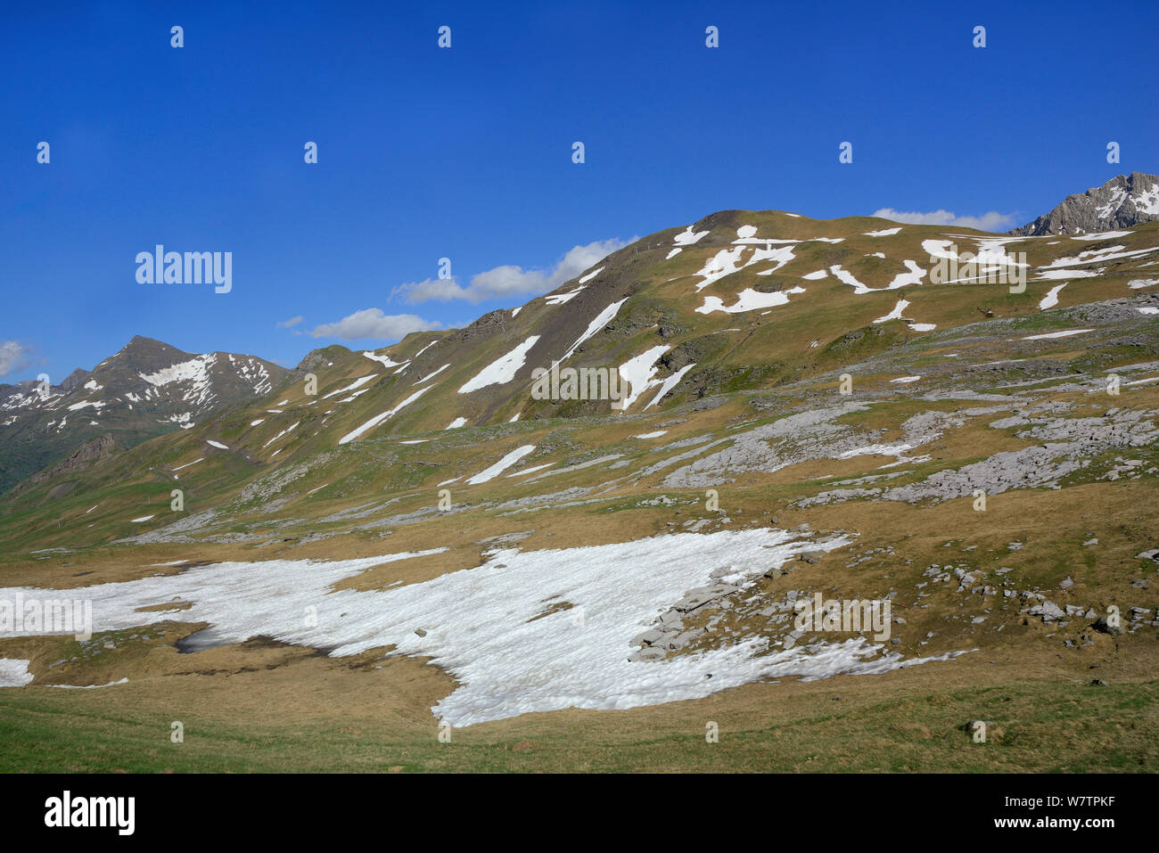Snow patches on ground in summer in the Vallee des Especieres, Pyrenees ...