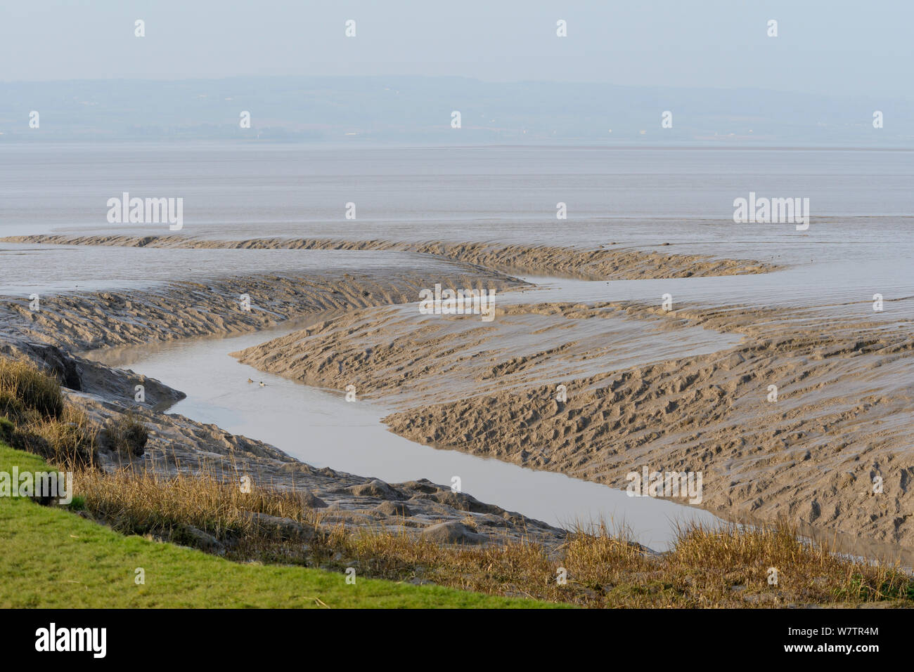 Salt march hi-res stock photography and images - Alamy