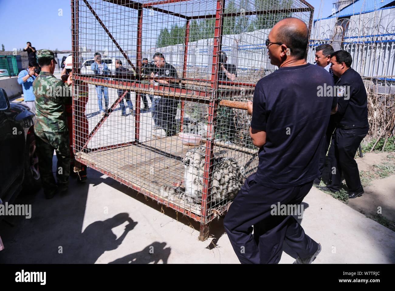 Bole xinjiang china hi-res stock photography and images - Alamy