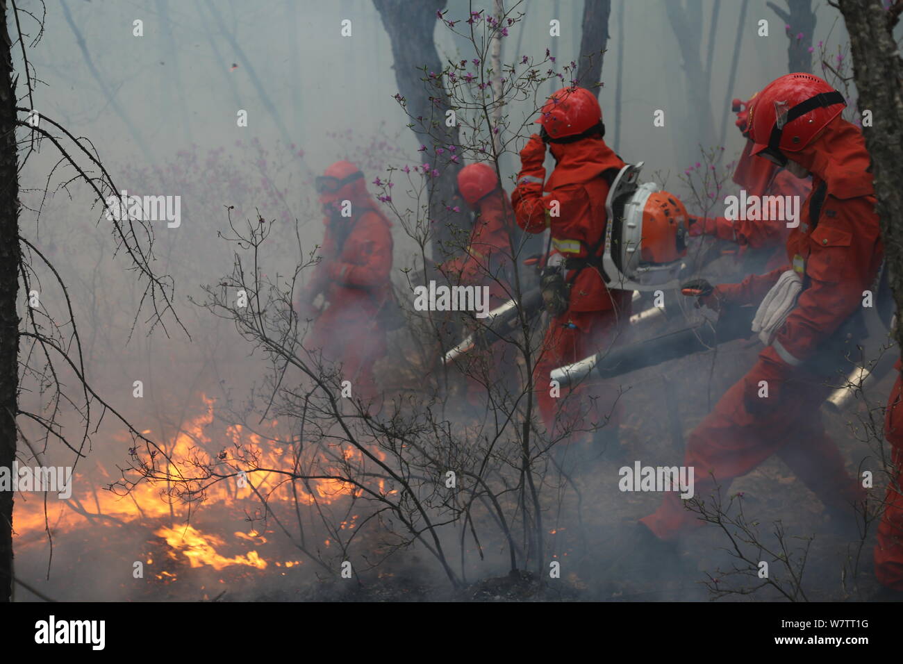 Hinggan hi-res stock photography and images - Alamy