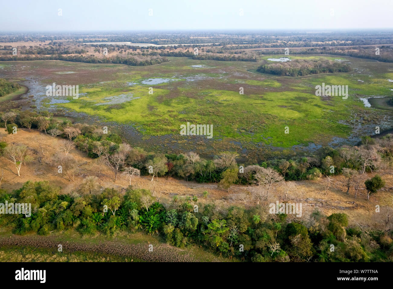 Pantanal landscape during dry season, aerial view, Brazil, August 2010 ...
