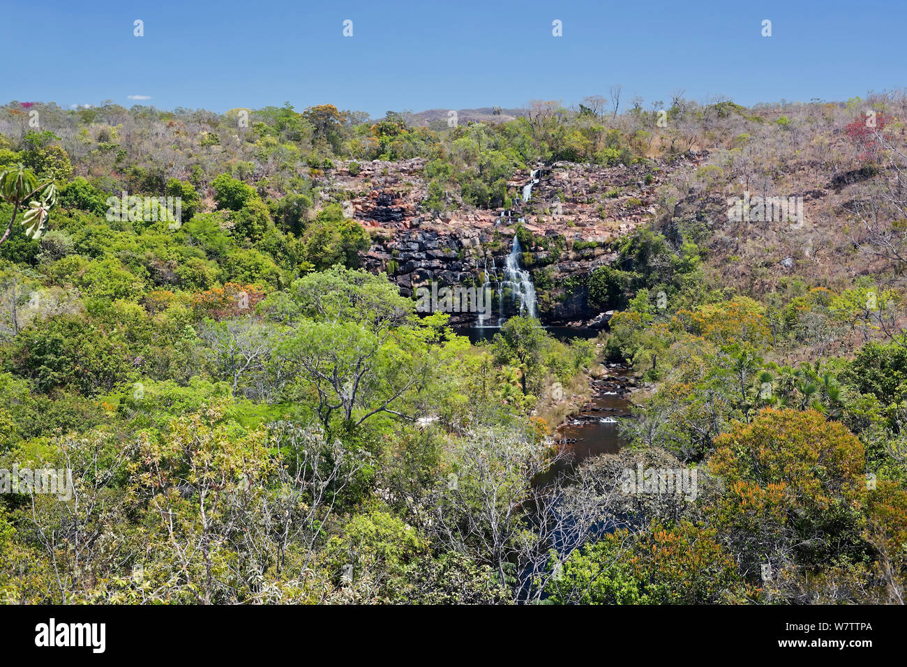 Cerrado landscape brazil hi-res stock photography and images - Alamy